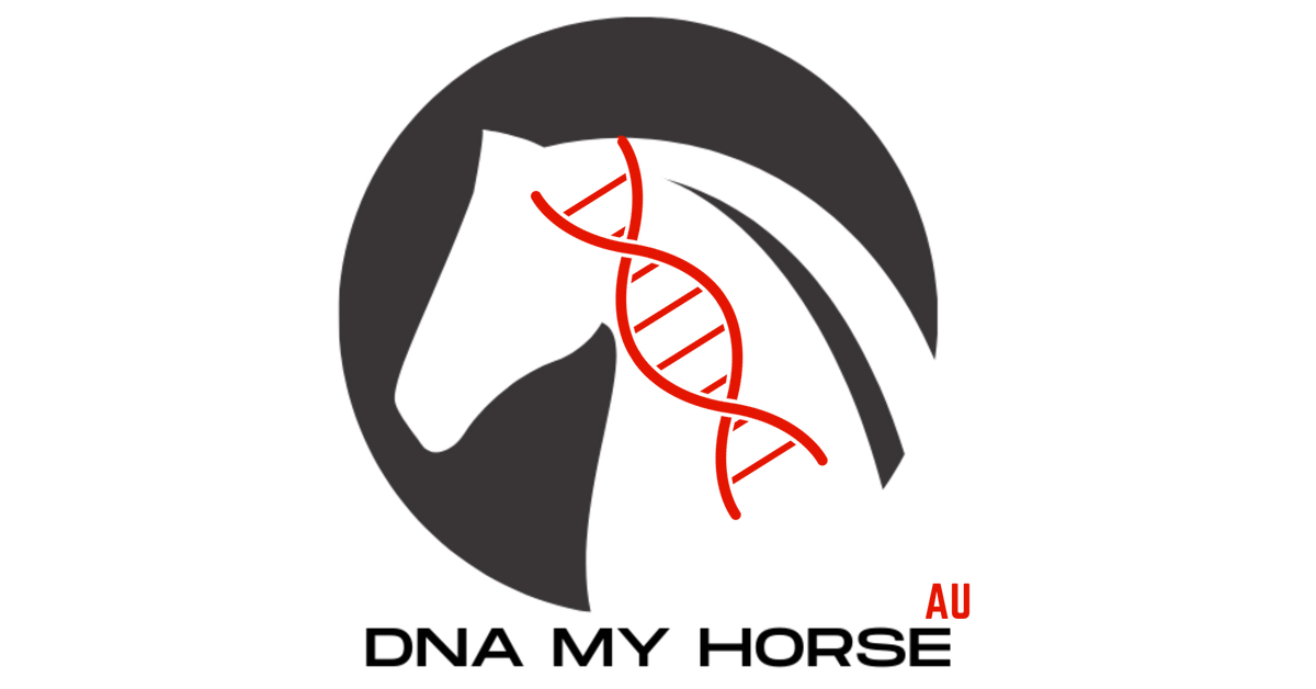 DNA My Horse Australia – DNA My Horse AU